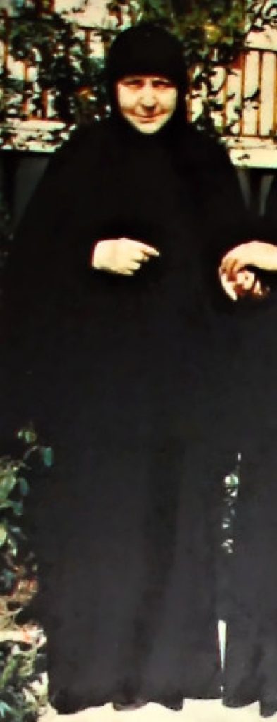 When the nun stretched out her hand, he spat in it jeeringly ...